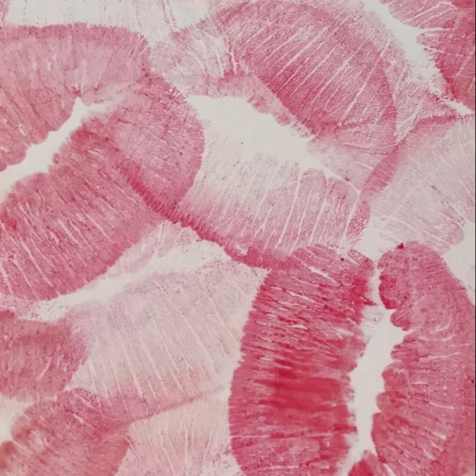 Choose your fighter - Pippit