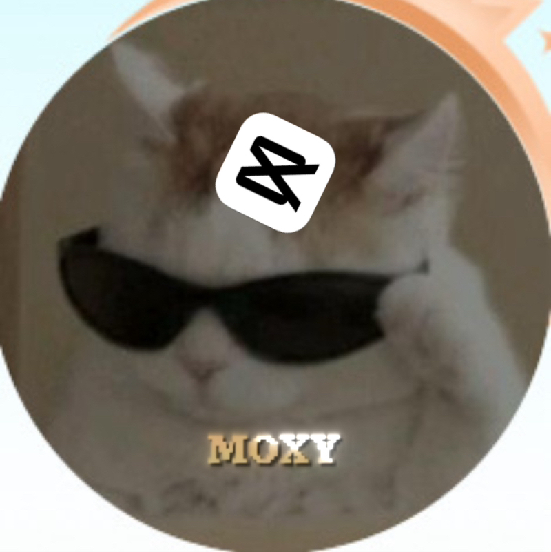 Left Right Go - Pippit