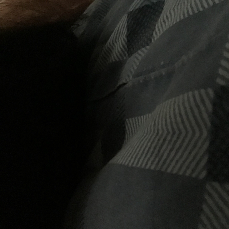 ice spice 💗 - Pippit