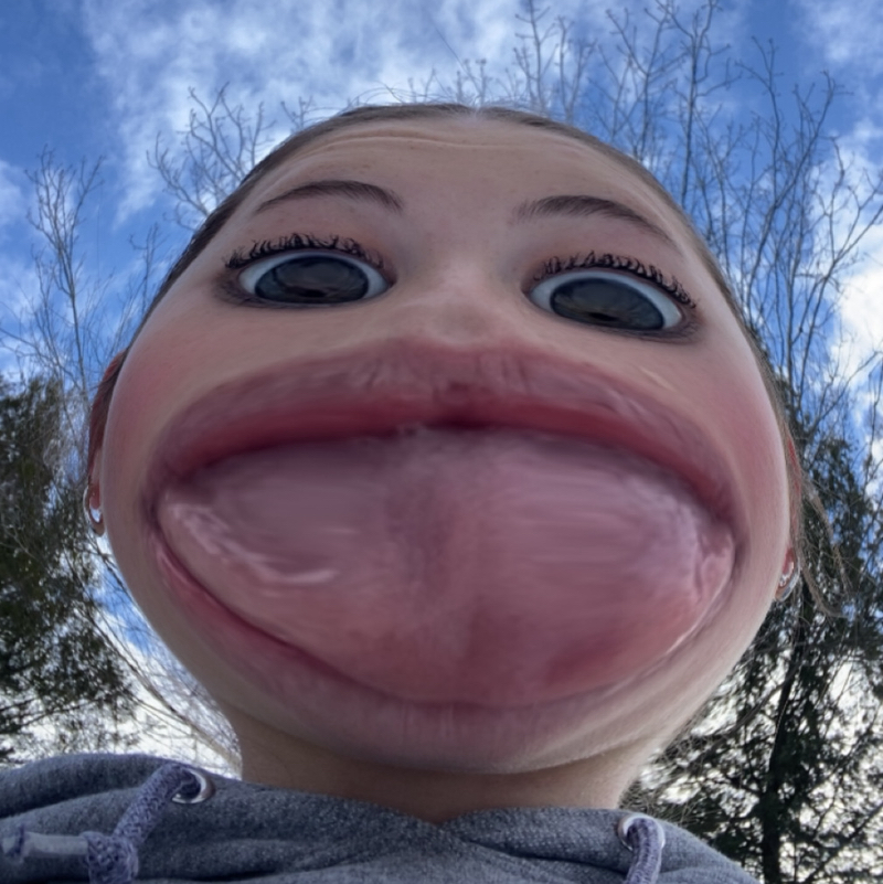 True friend?? - Pippit