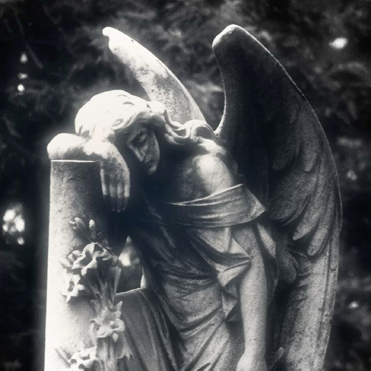 (Insert title) - Pippit