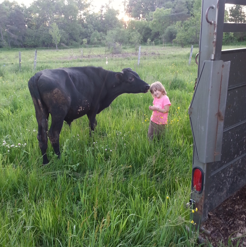 cool ur phone - Pippit